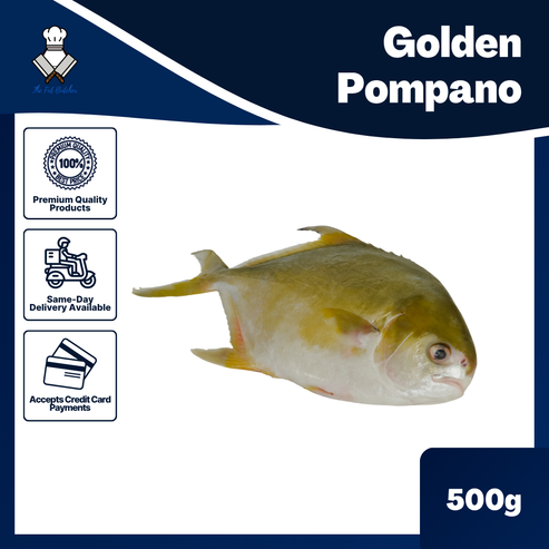 Golden Pompano – The Fat Butcher
